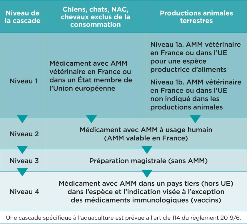 La nouvelle cascade dite du « hors AMM » | L'Ordre national des ...