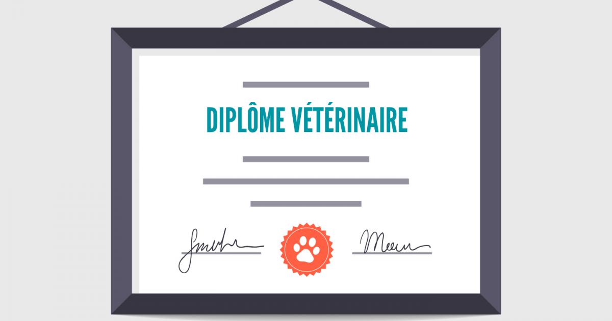 Les diplômes vétérinaires délivrés en France | L'Ordre national des ...